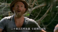 巨蟒大战恐鳄:巨蟒大战巨鳄,一群人竟还看起热闹,真是不要命了