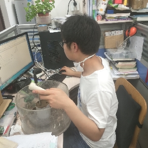 夏沐不种花 