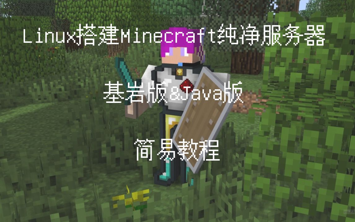 【互动视频】[Linux]搭建Minecraft纯净服务器 简易教程