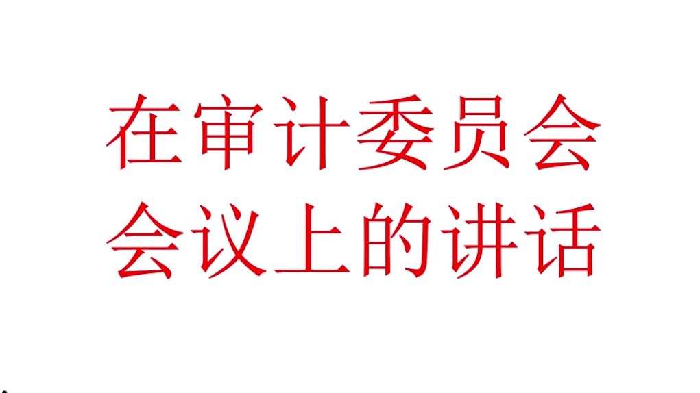 在审计员会会议上的讲话