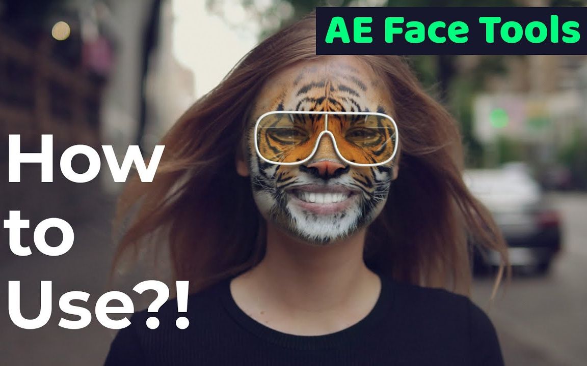 【AE插件 | 双语字幕】Motion Bro插件预设包Face Tools使用教程