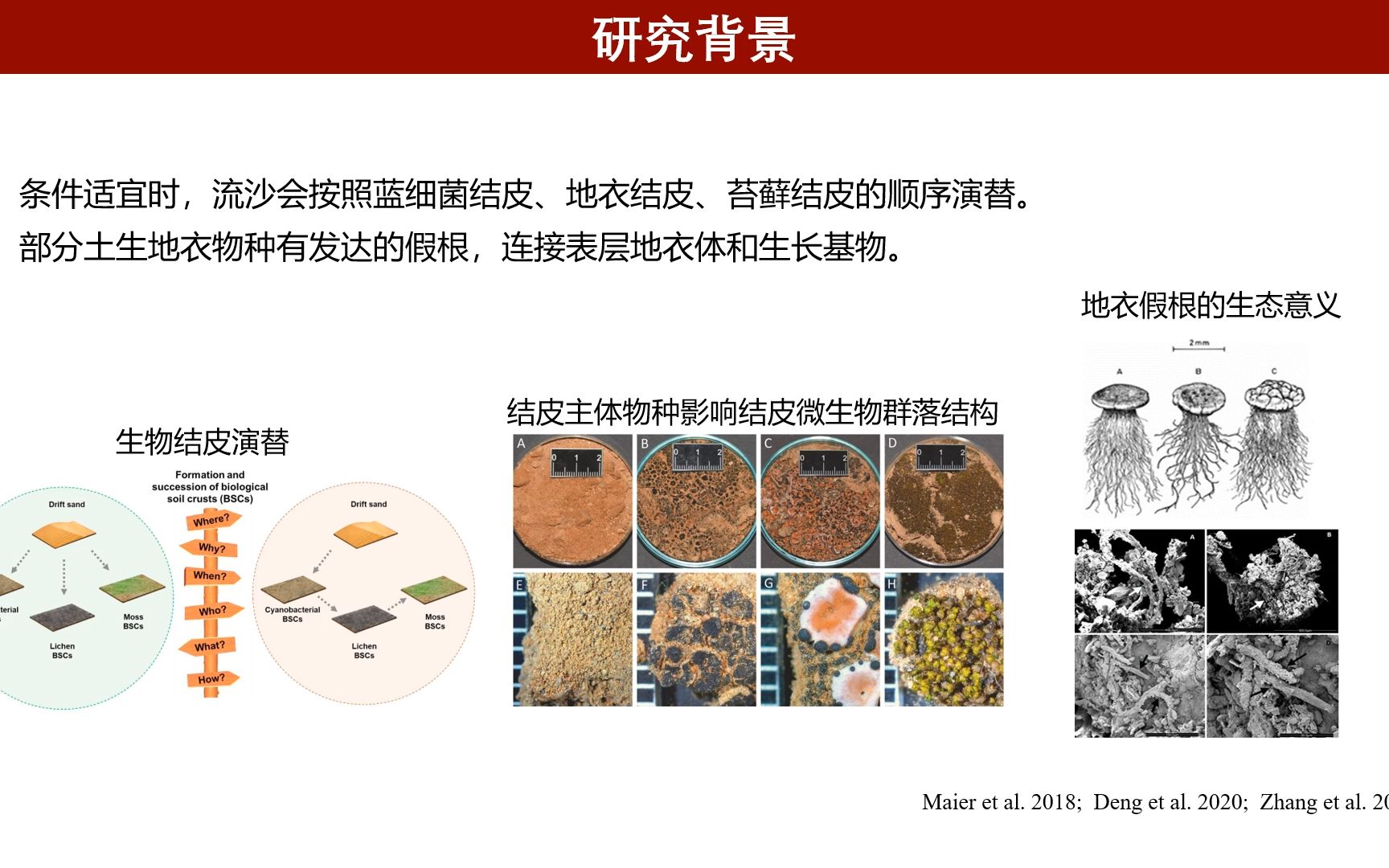 ...中科院微生物所魏鑫丽组揭示荒漠地衣结皮中关键细菌具宿主选择趋势