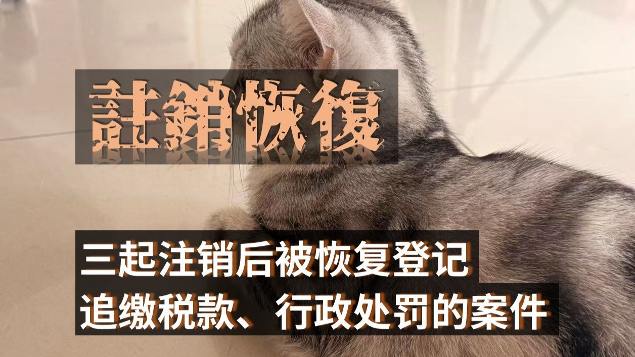 三起注销后被恢复登记追缴税款、行政处罚的案件