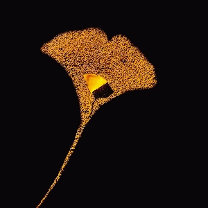 物理老李做实验讲物理 