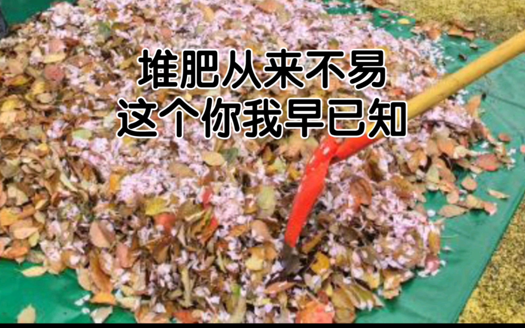 堆肥从不易,功成促多赢,改良土壤,垃圾减量,更好的未来,可持续发展
