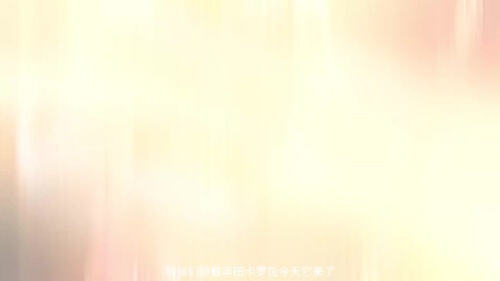 丰田卡罗拉二手入手指南这还要二手的嘛?!