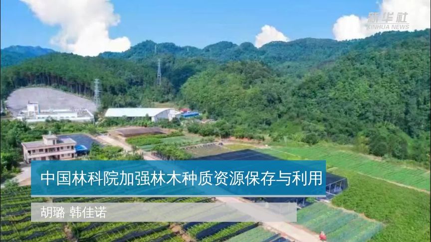 中国林科院加强林木种质资源保存与利用