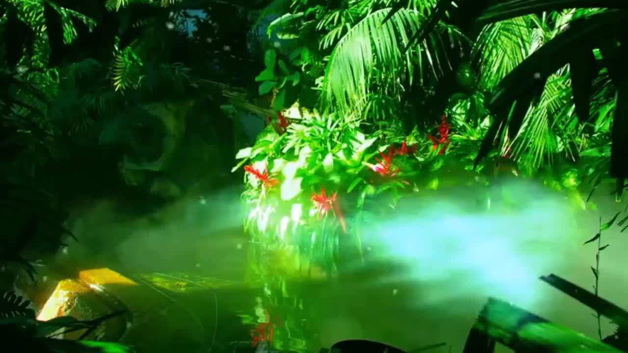 唯美森林自然景色视频#素材 #视频素材 #汉亚素材 #唯美 #唯美意境 @...