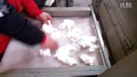 开茧机(多功能弹花机)梳理蚕茧