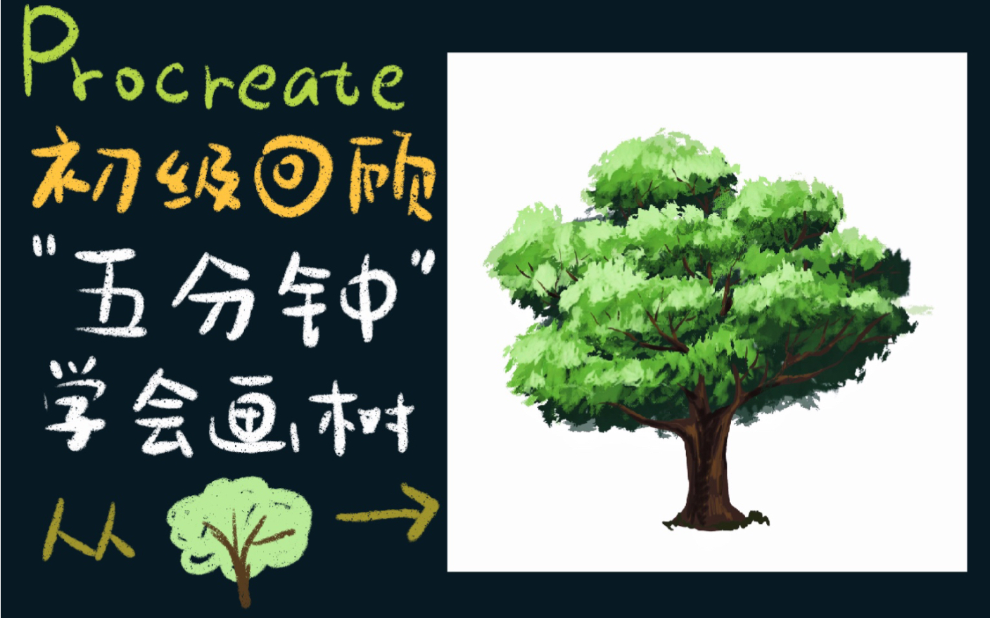 Procreate原创—保姆级超详细解说版绘画教程“画一棵树”小白必备(...