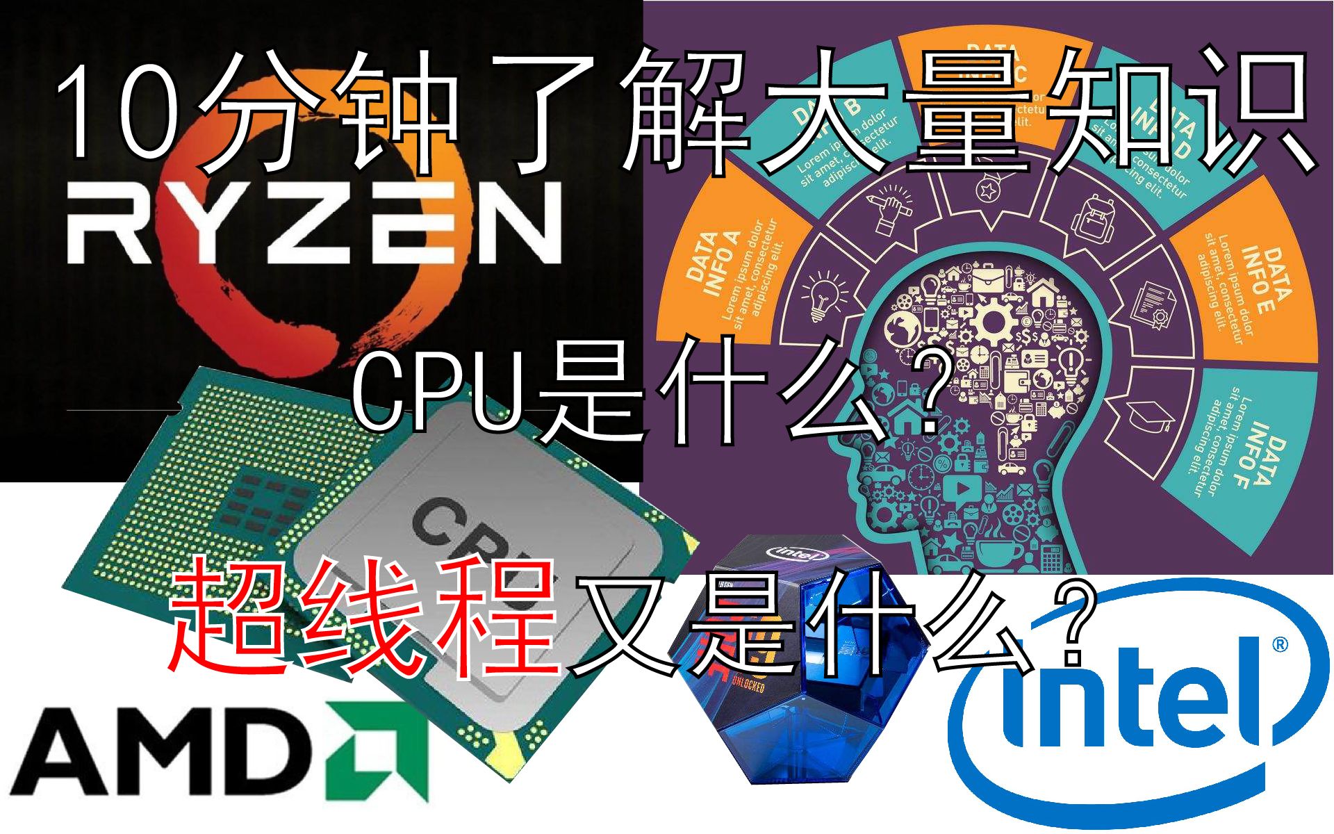 【CPU知识科普入门】10分钟了解CPU基础知识【硬件公开课第二期:...