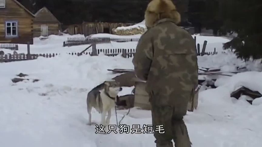 西伯利亚猎人(1):地广人稀猎物多,和大自然一起亲近的生活