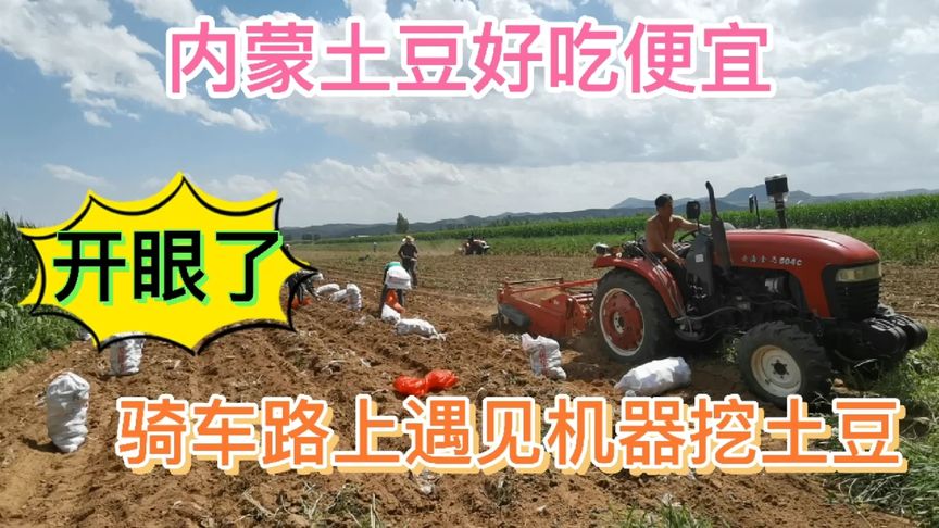夫妻在骑车路上遇见机器挖土豆,开眼了!内蒙土豆好吃,便宜吗?