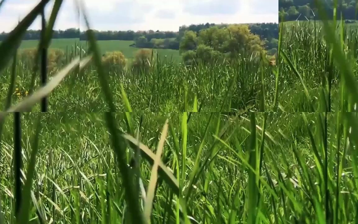 14种不同矩形形状的过渡效果展示PR模板