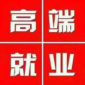 就业于老师 