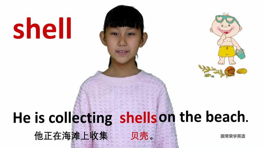 动物篇shell贝壳 牛津初高中小学少儿童英语单词和例句子 常荣