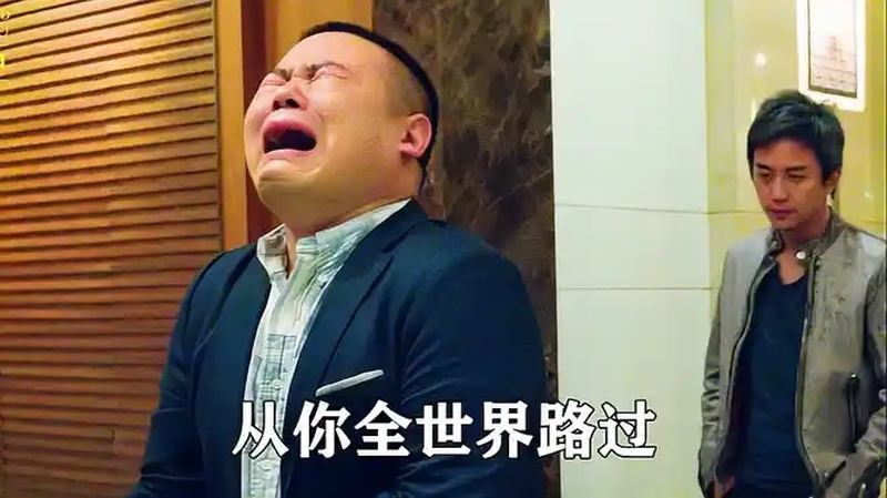 以猪头的视角打开《从你全世界路过》,一个撞碎了南墙的痴情种