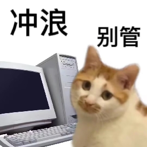 戴夫辰飞 