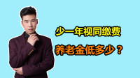 视同缴费少了一年,养老金会降低多少?看看是如何计算的?