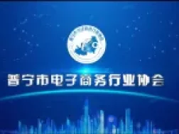 普宁市电子商务行业协会宣传片