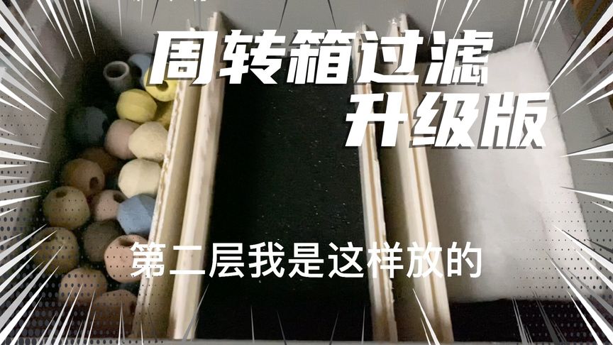 鱼缸周转箱过滤升级版,增加底滤过滤形式,培菌更强大