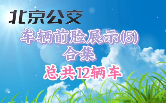 【北京公交】北京公交车辆前脸展示(5) 总共12辆车