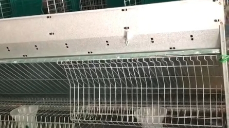 兔舍怎么建造,兔舍一般怎样消毒?兔舍是养殖兔子的必需设备,科学的兔...