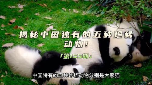 五大宝藏!揭秘中国独有的五种珍稀动物!