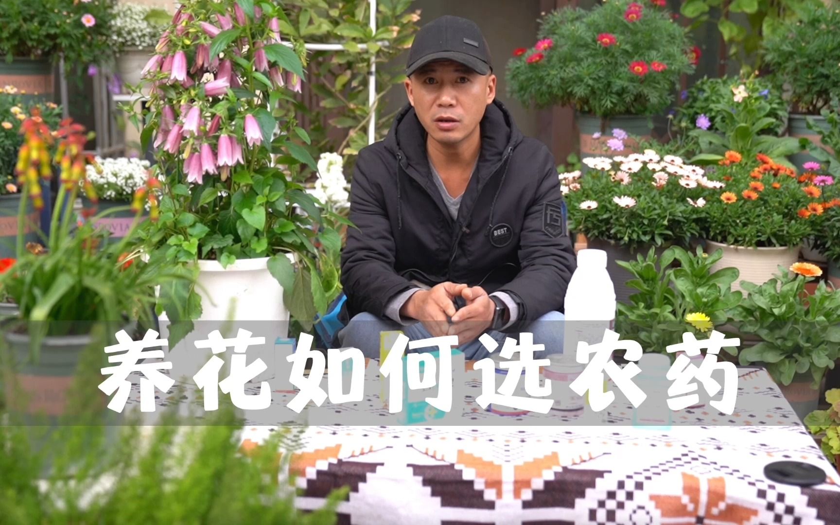 养花如何选择农药,杀虫药,杀菌药,杀螨药,帮你理清思路