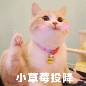 哦哦哦关注啊嗯 