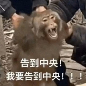 ba啦啦能量 