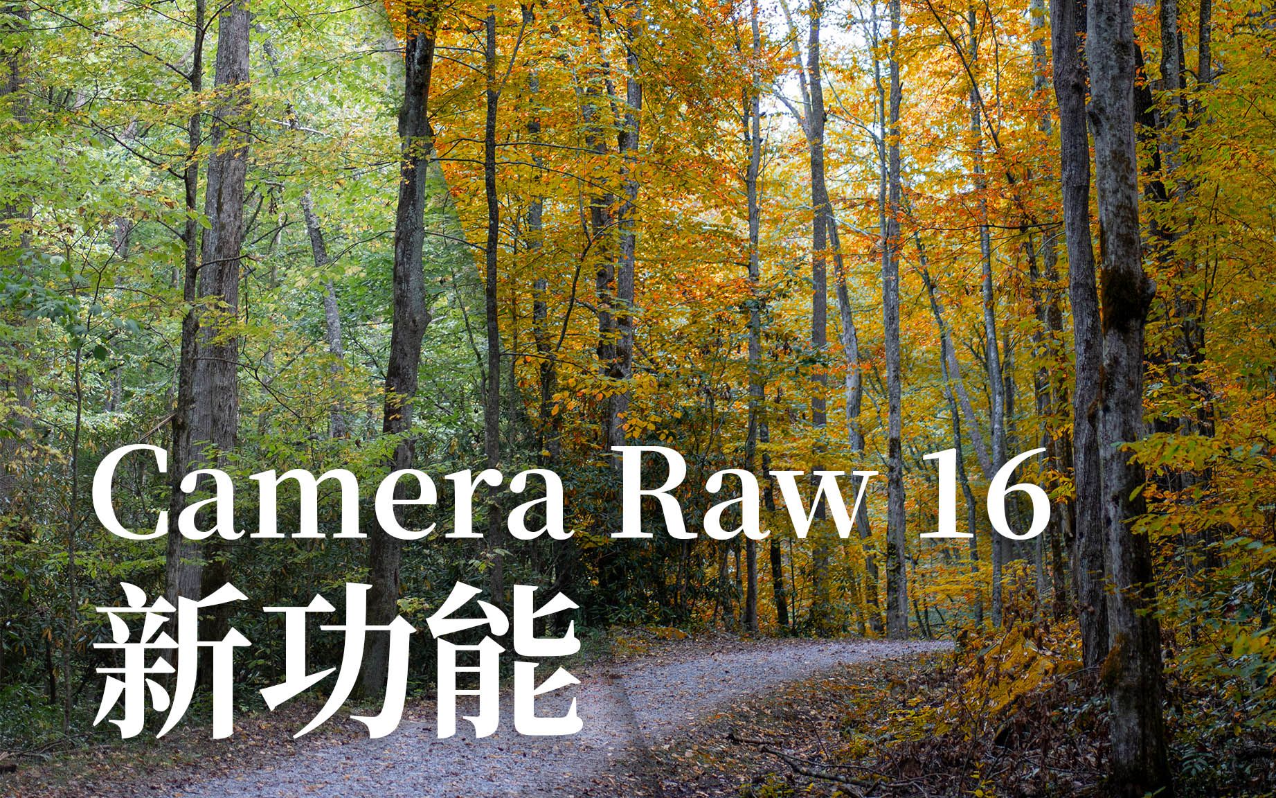 【会员专享】AI的进化论——Adobe Camera Raw 16新功能(镜头模糊,...