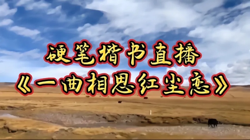 硬笔楷书直播:《一曲相思红尘恋》