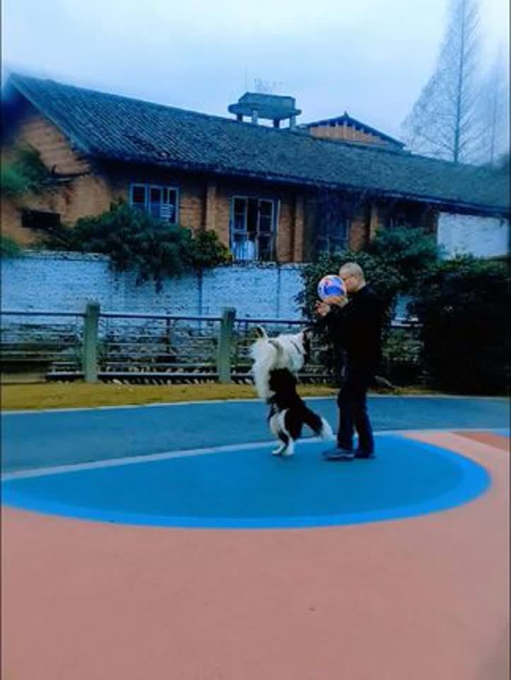 #陪你长大陪你看世界 翩翩起舞