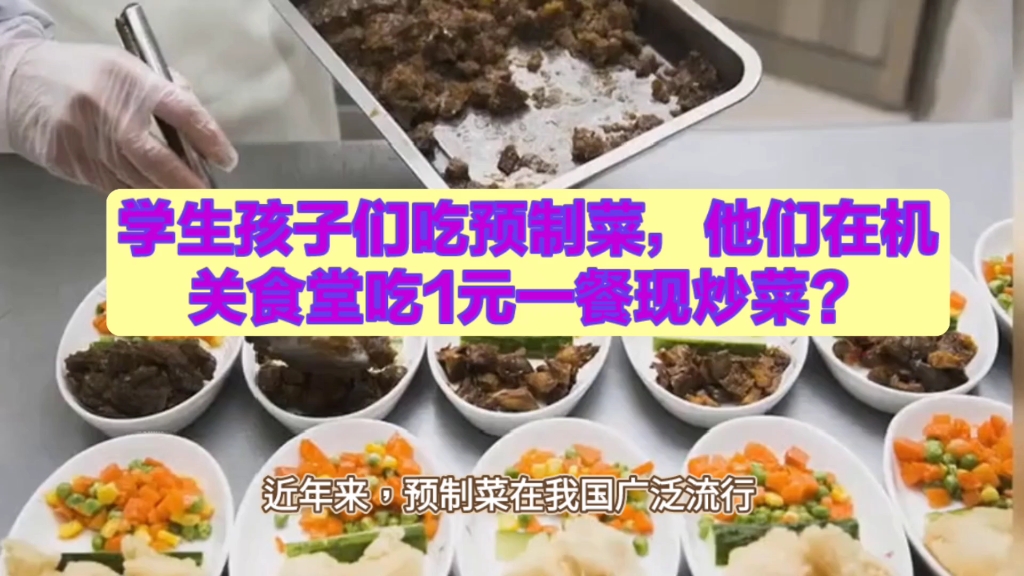学生孩子们吃预制菜,他们在机关食堂吃1元一餐现炒菜?