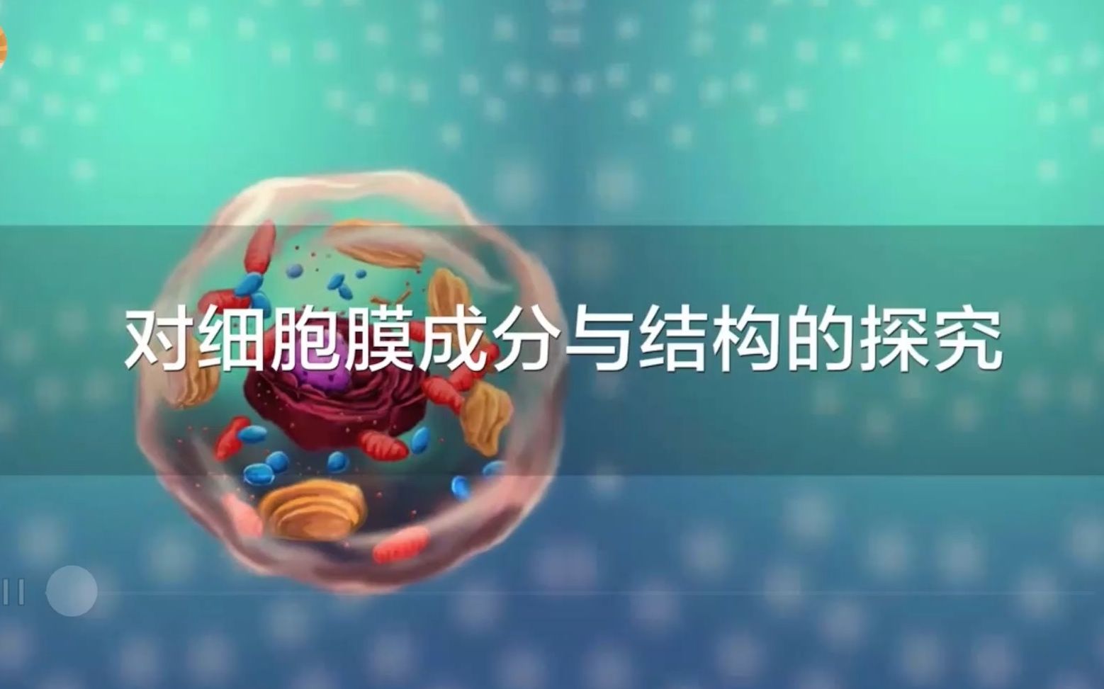 ...对细胞膜结构和成分的探究 磷脂双分子层人教版统编教材高中生物学...