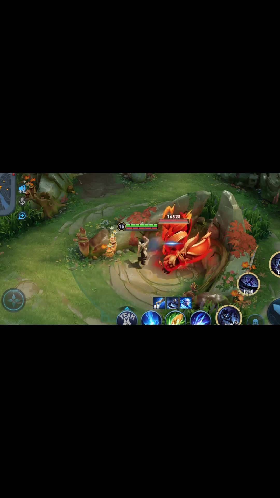 你承诺的,言出必果