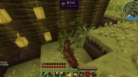 【蓝猫】_【我的世界】minecraft 【蓝猫】_【我的世界】minecraft ...