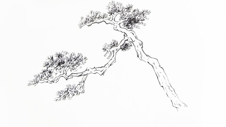 钢笔画白描,简单易学,一看就会