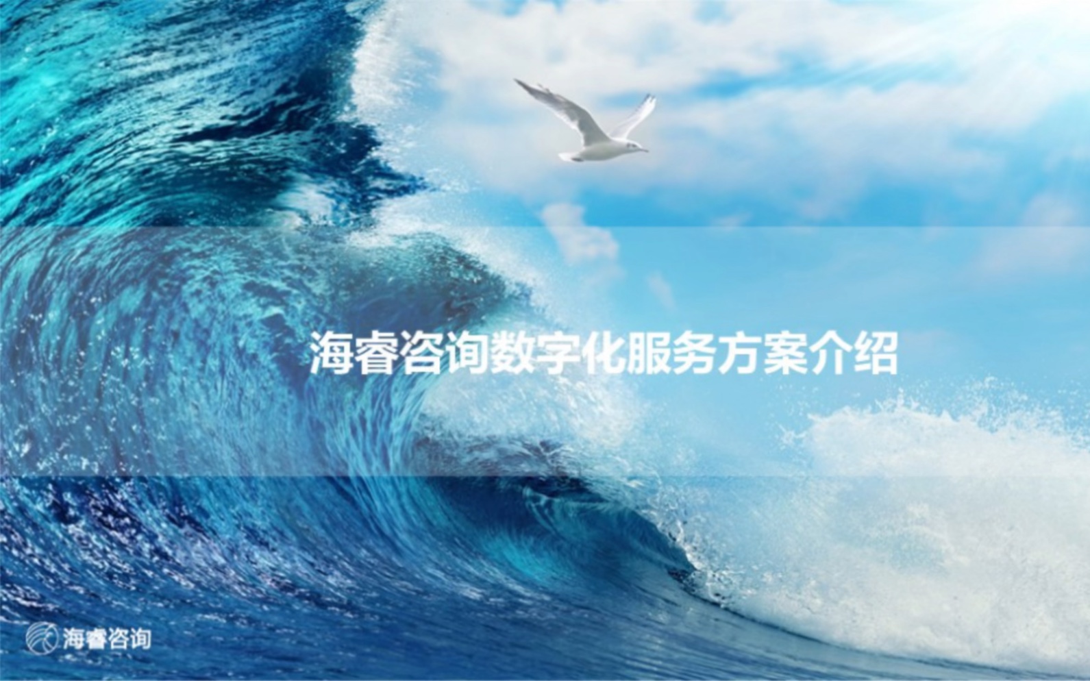 海睿咨询数字化服务解决方案