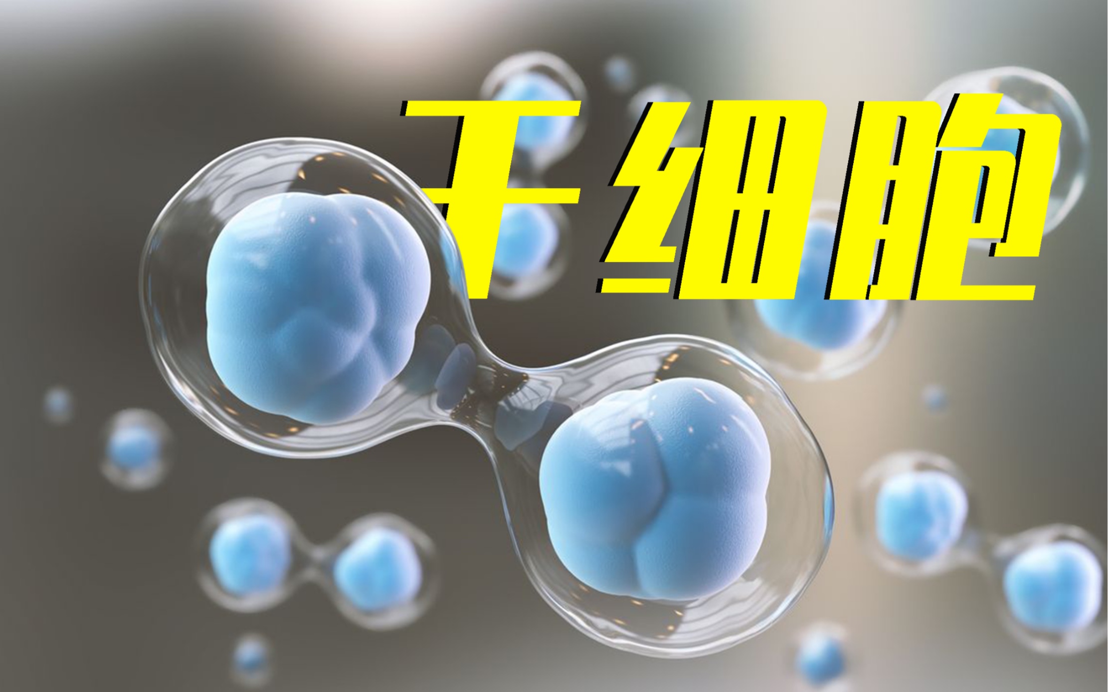 【科普干细胞】治愈艾滋病、制造人体器官: “干细胞移植”是大势所...
