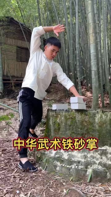 简简单单秀一下武术铁砂掌
