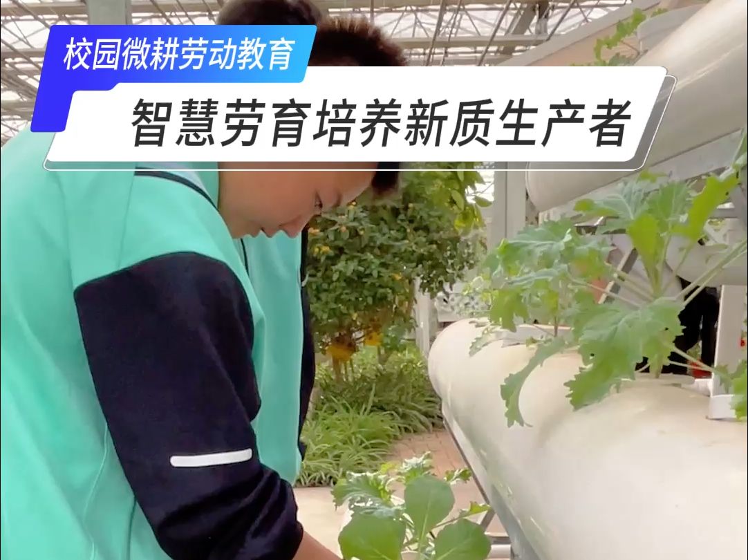 校园微耕劳动教育新质生产者