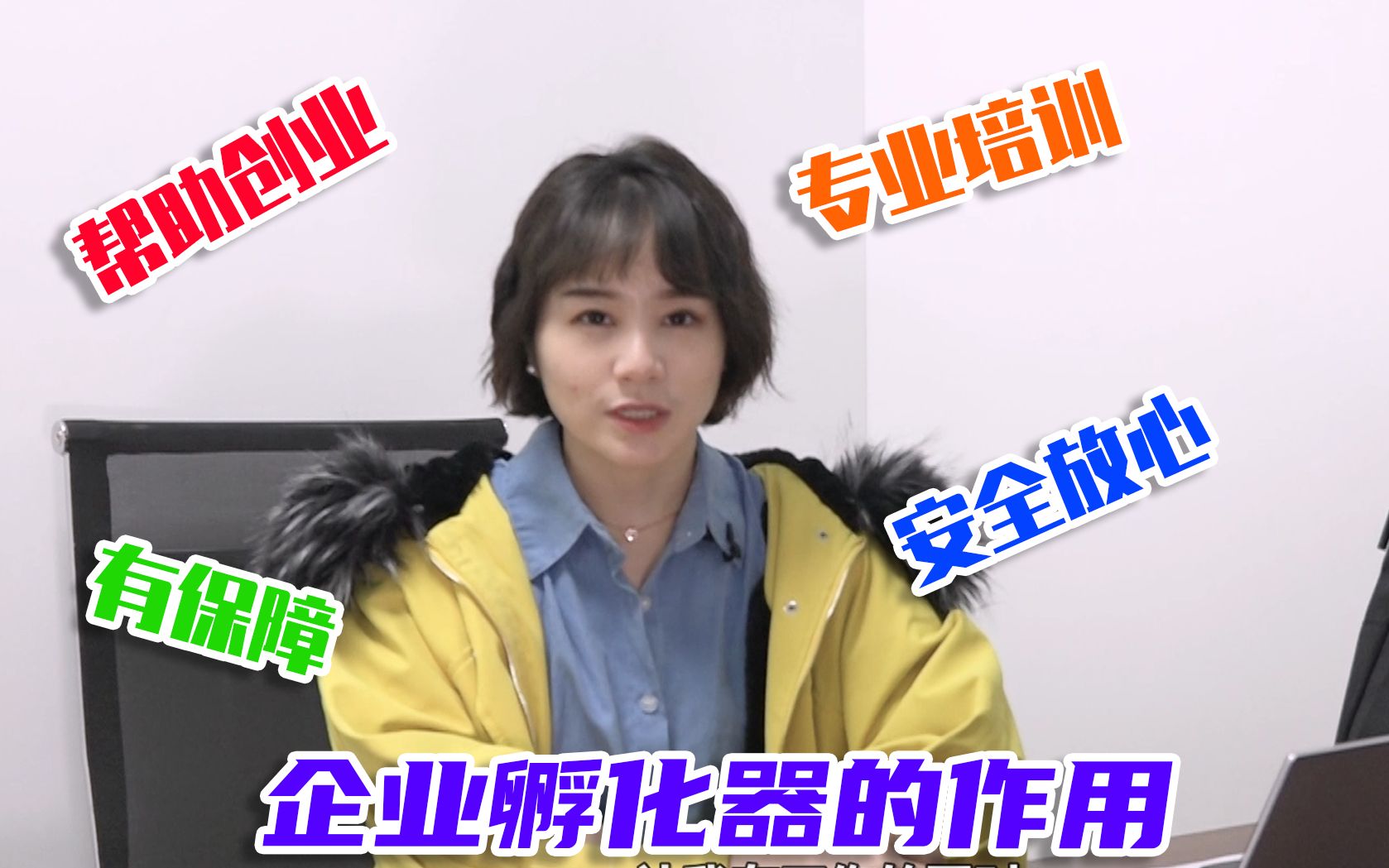 关于企业孵化器,他们这样说