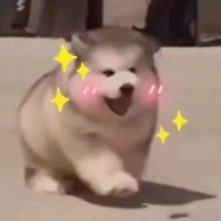 hhPinkybb 