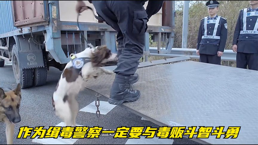 一场十拿九稳的缉毒行动,最后却败在自己人手里