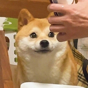 与天小法克 