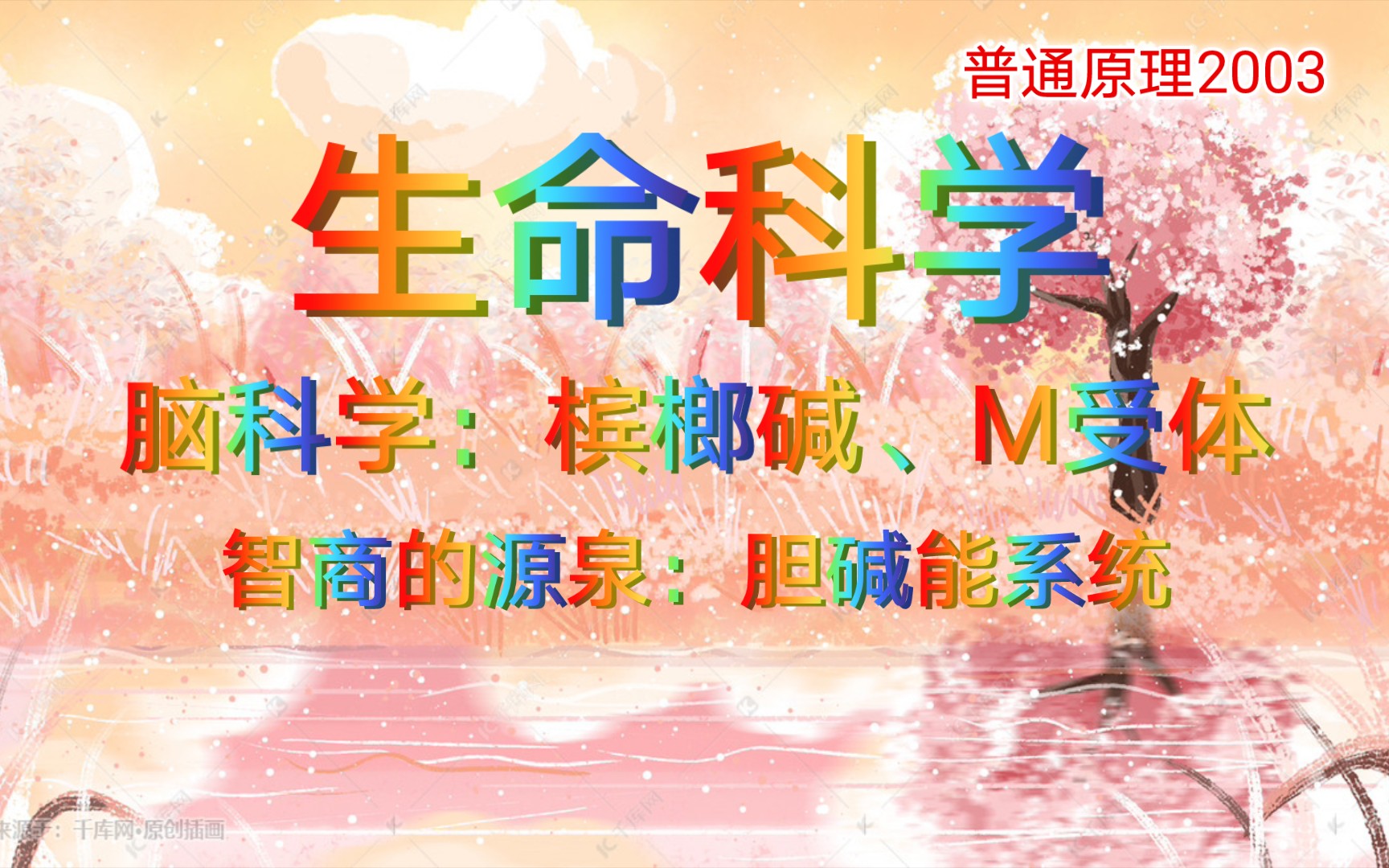 槟榔碱、M受体:脑科学与生命科学。智商的源泉:胆碱能系统。