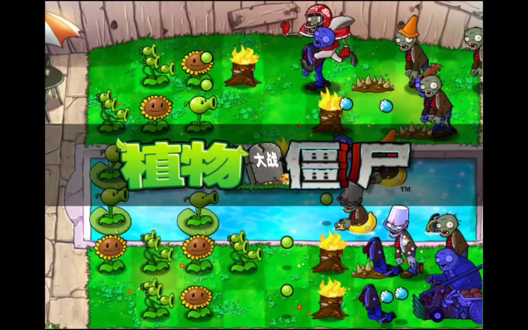 手机exagear玩《植物大战僵尸95版》,字体不显示(模拟器没加字体),...