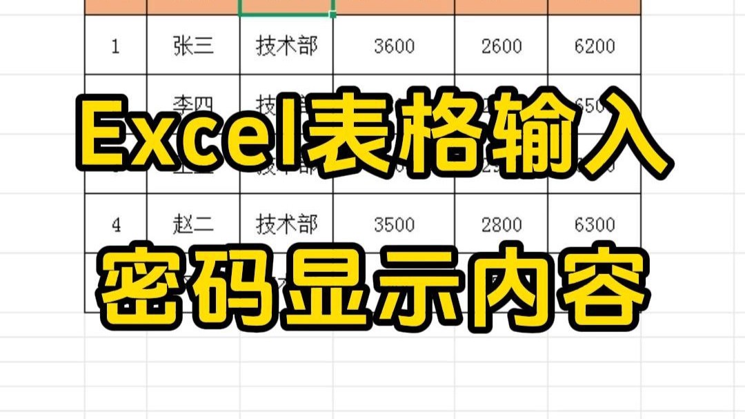 excel表格输入密码显示内容,再也不怕别人看到了